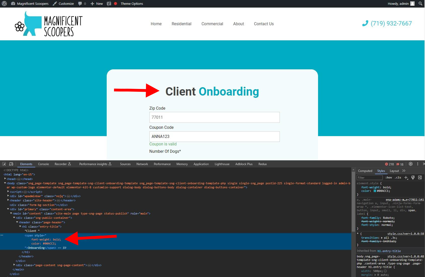Styling Client Onboarding Form - Sweep&Go