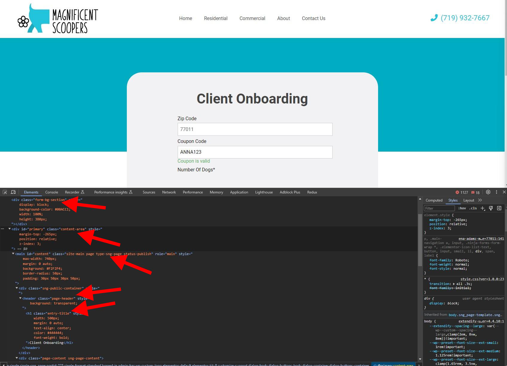 Styling Client Onboarding Form - Sweep&Go